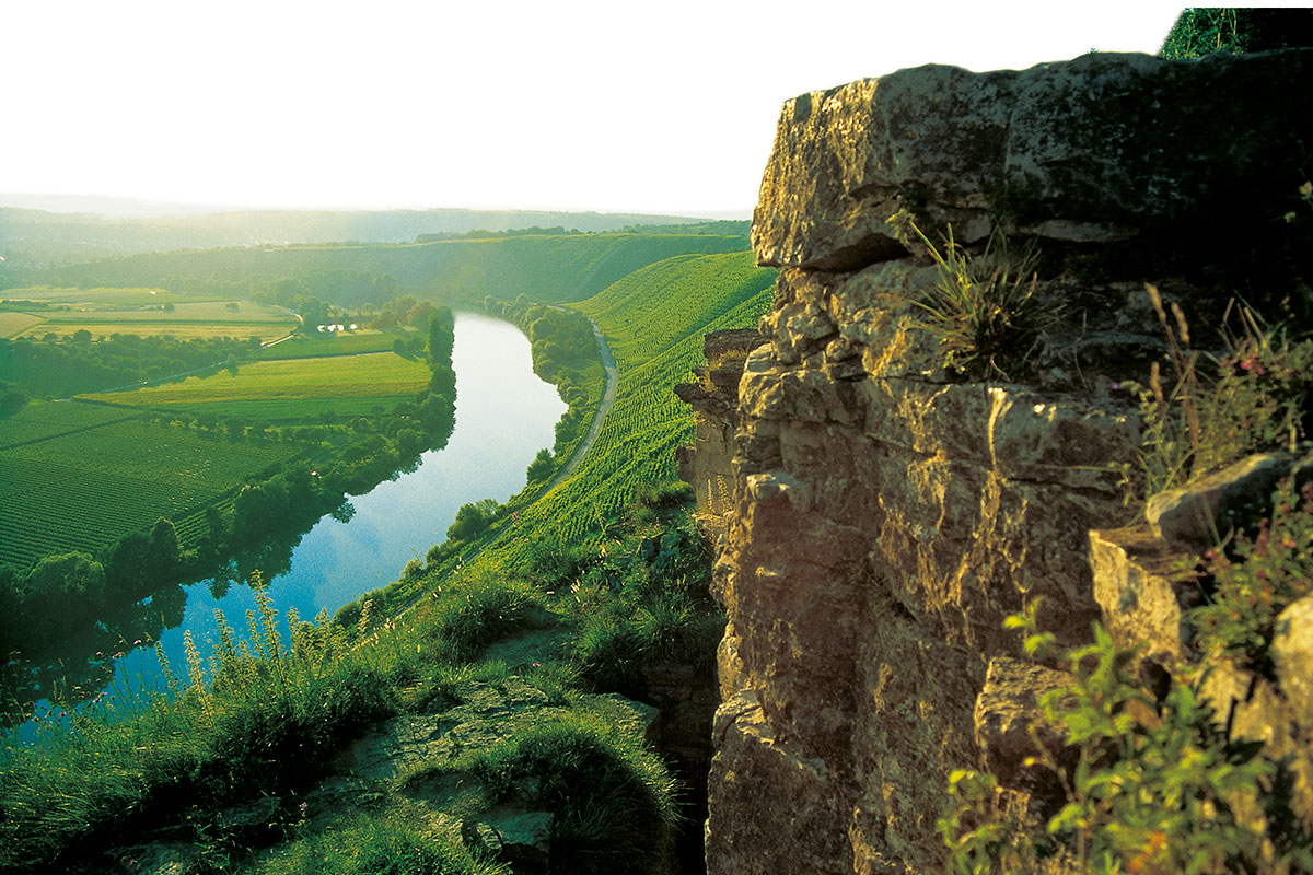 Weinproben Hessigheim - Weingut Faschian Hessigheim